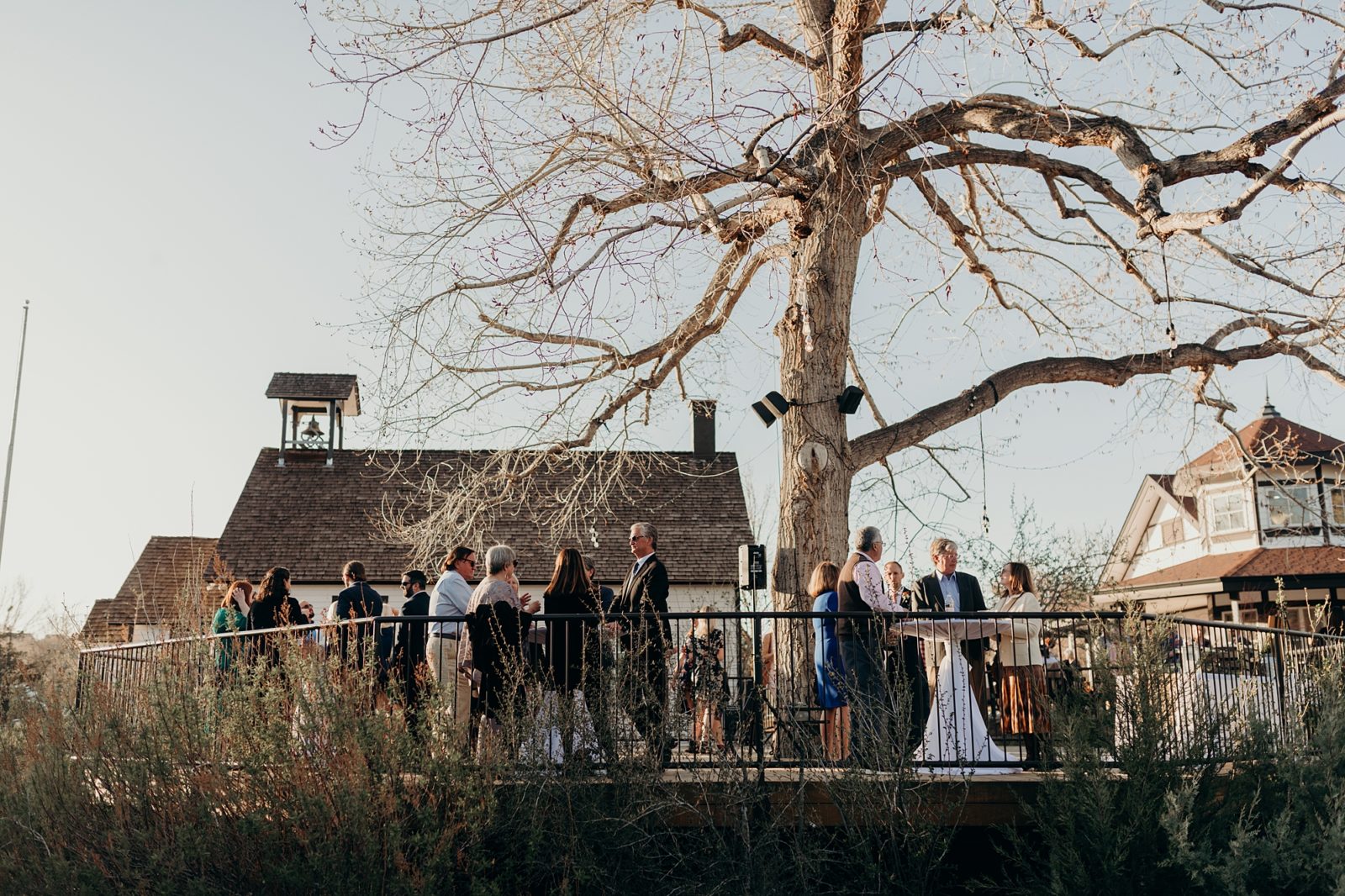 Chatfield Botanic Gardens Wedding - Leah Goetzel Photography
