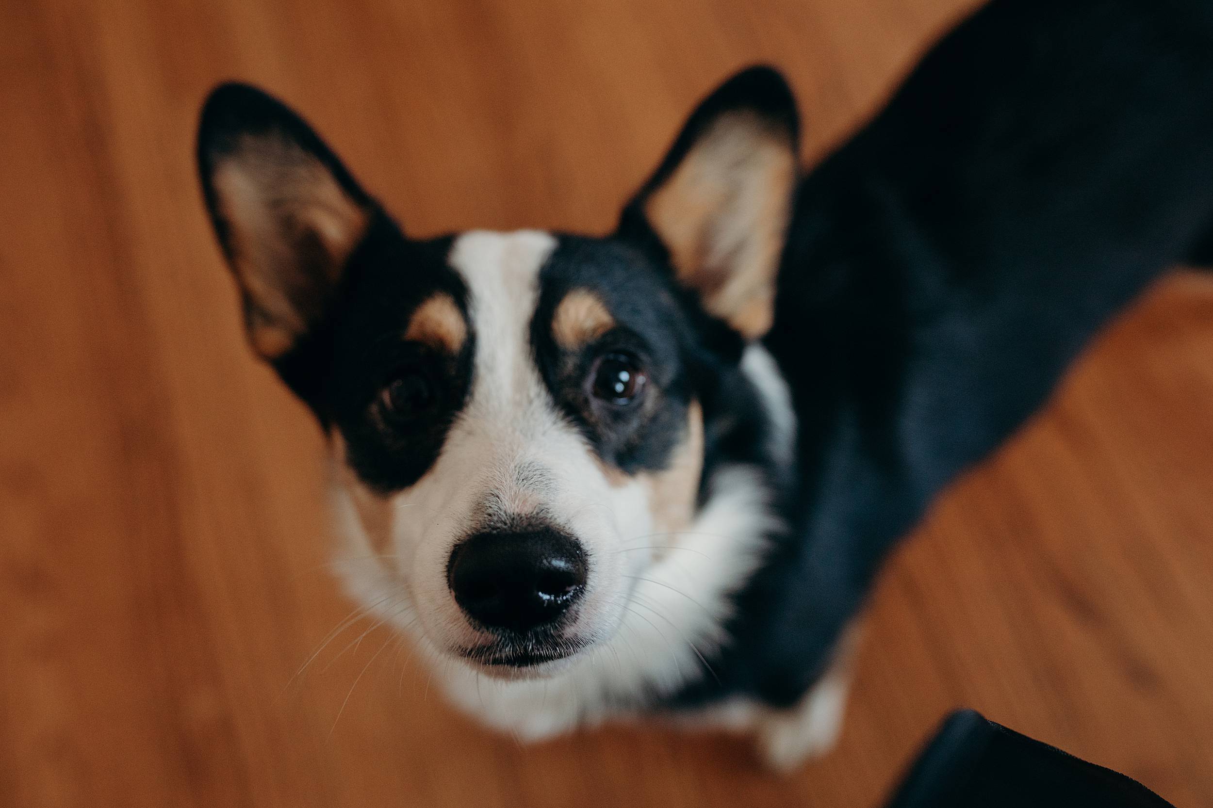 Julia & Ben - Leah Goetzel Photography